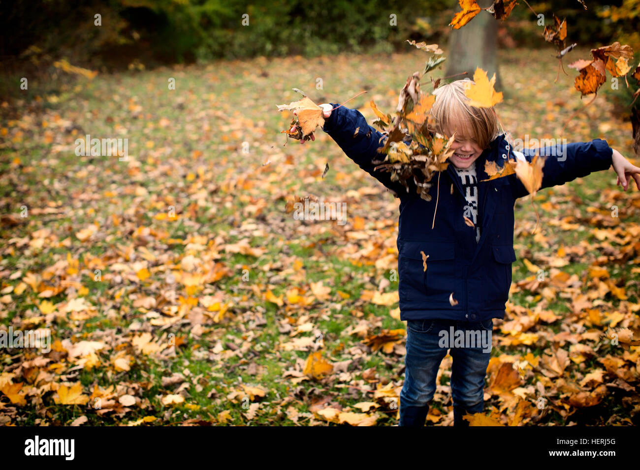 Child throwing autumn leaves hi-res stock photography and images - Alamy