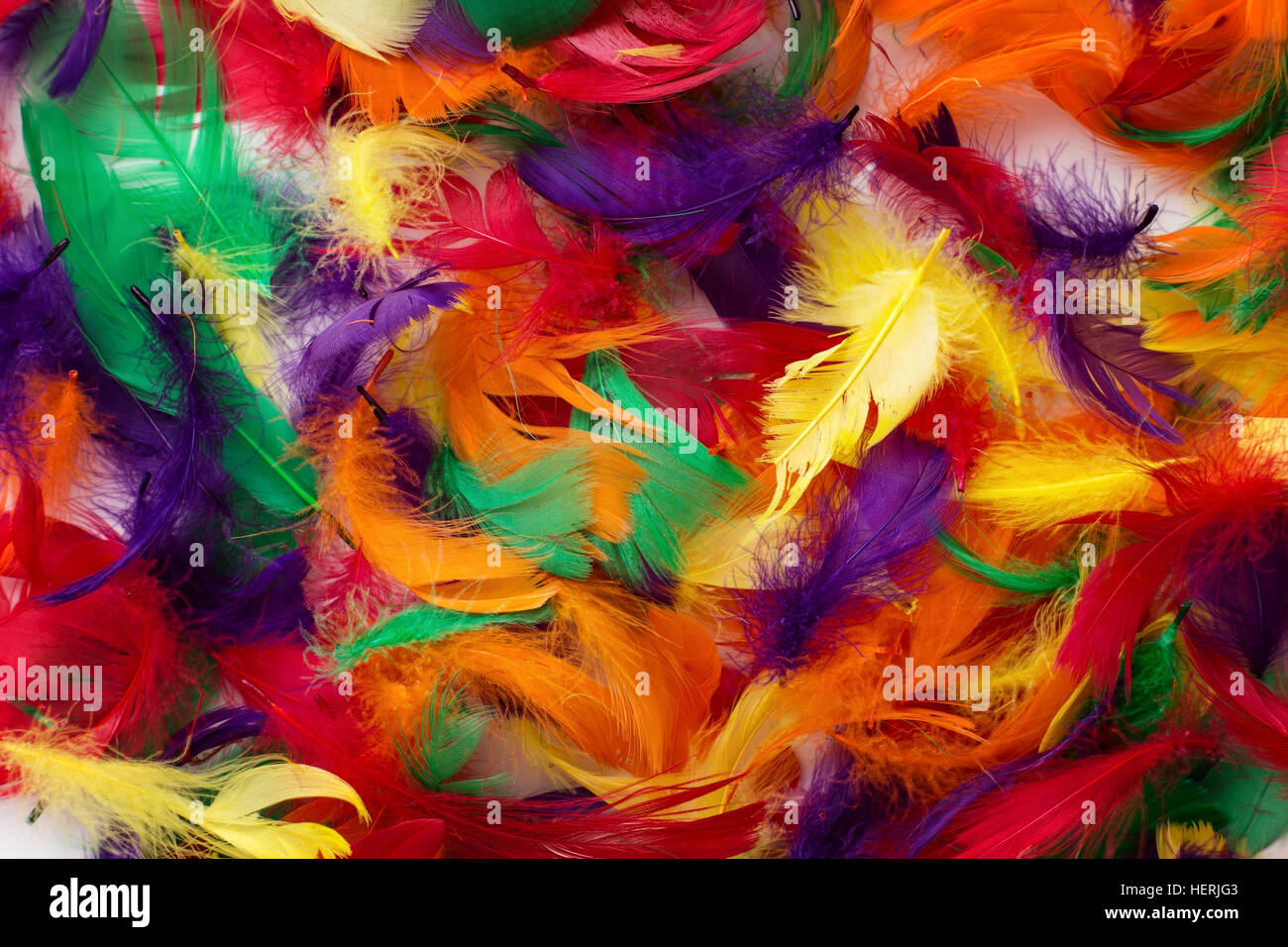 background of multi coloured feathers close up Stock Photo - Alamy