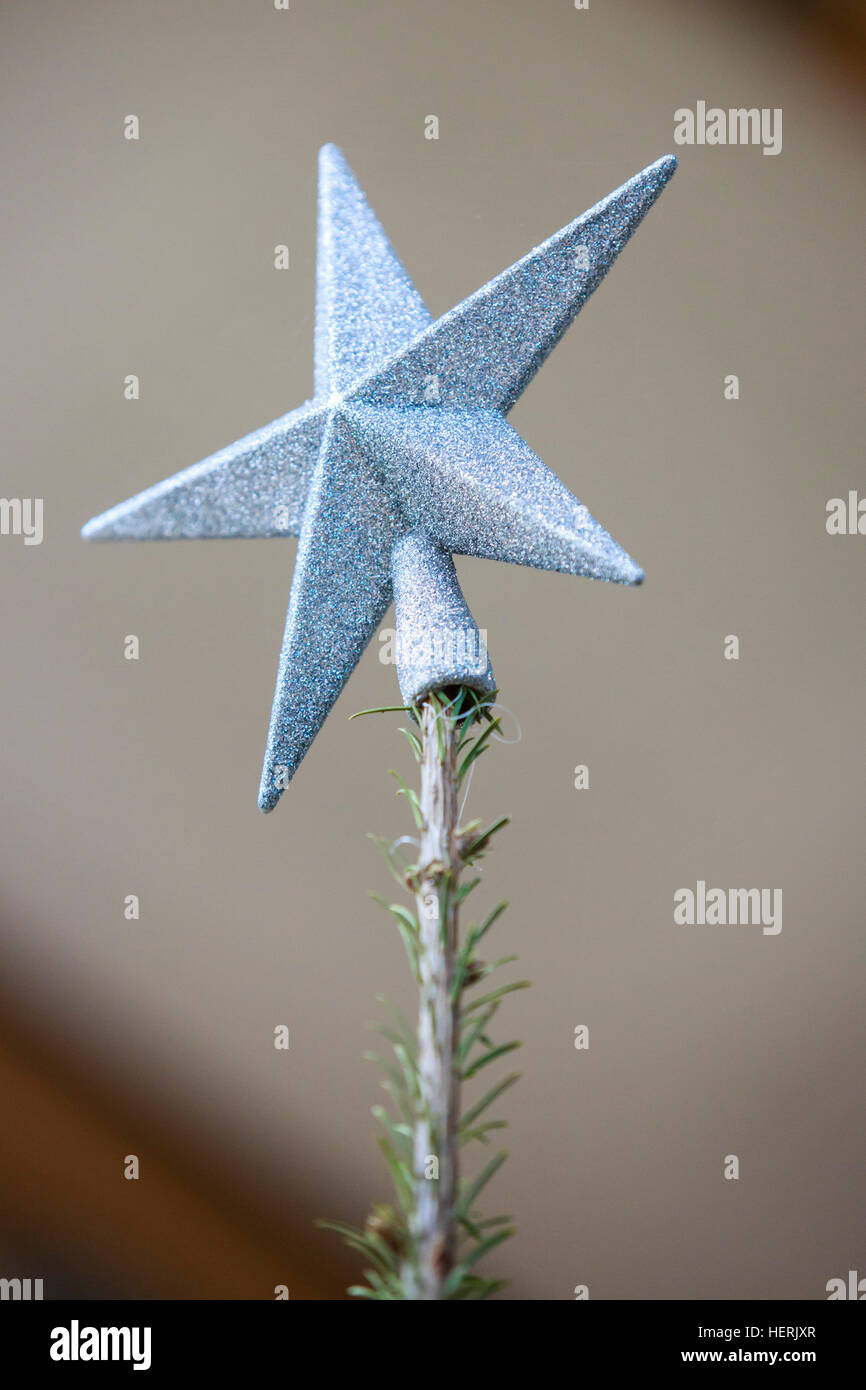 A single star mounted on the top of a christmas tree and set aginst a ...