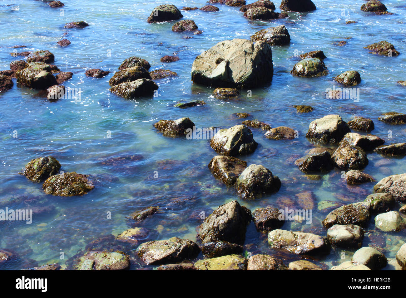 Intertidal Zone High Resolution Stock Photography and Images - Alamy