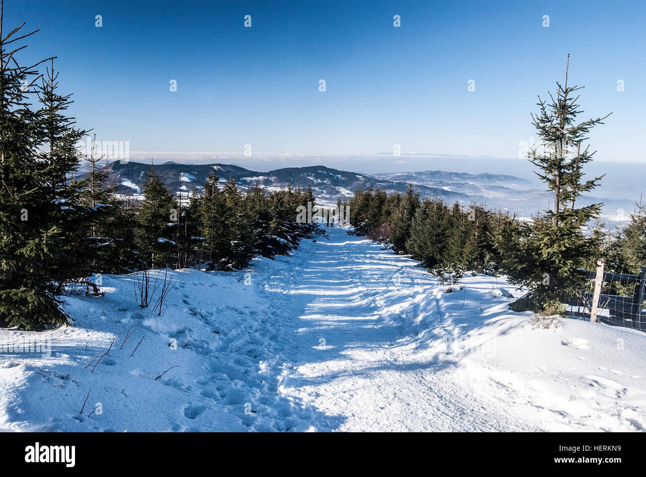 hiking trail from Lysa hora hill in winter Moravskoslezske Beskydy ... hiking trail from Lysa hora hill in winter Moravskoslezske Beskydy ...