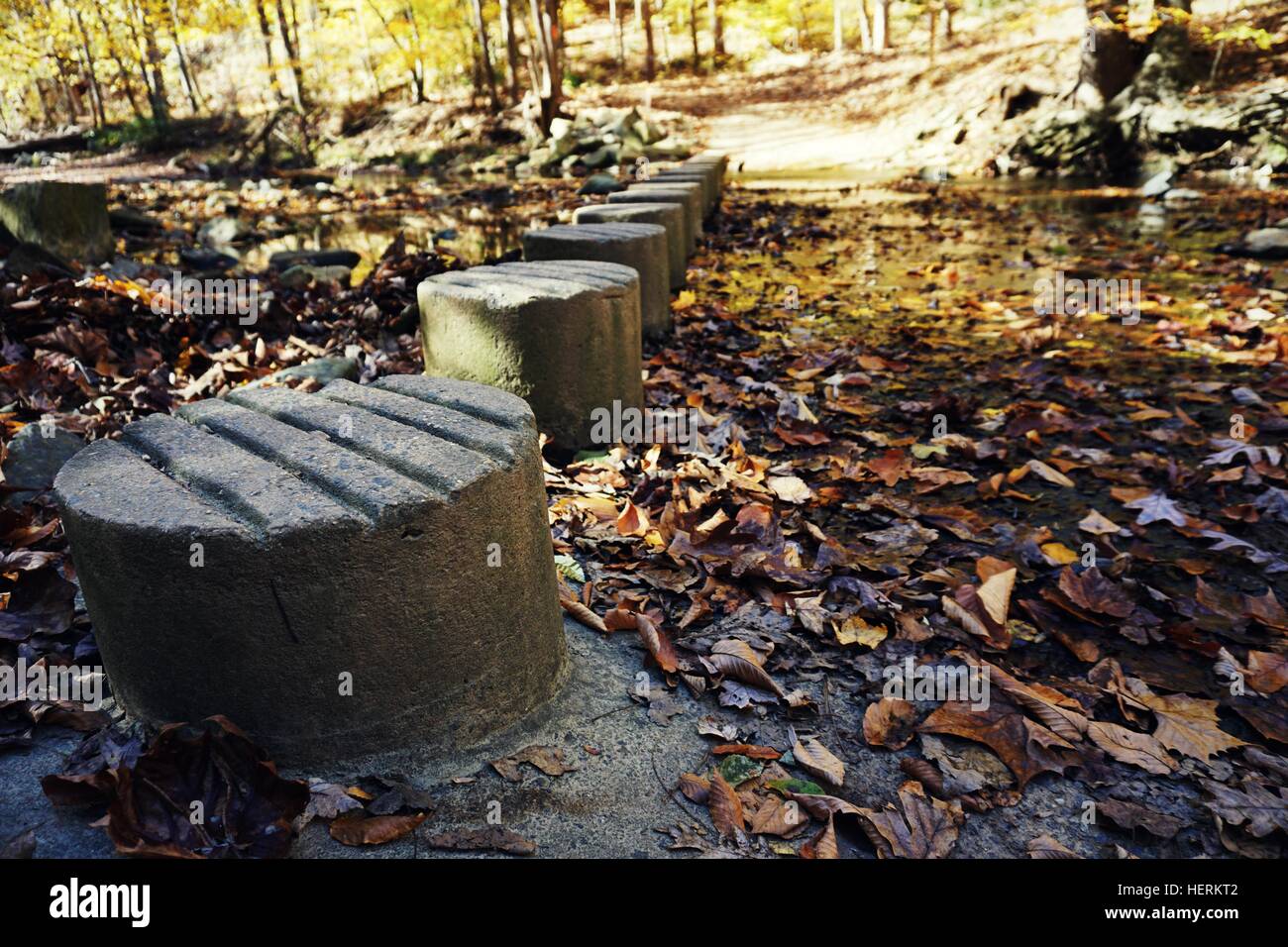 stone steps across stream Stock Photo - Alamy