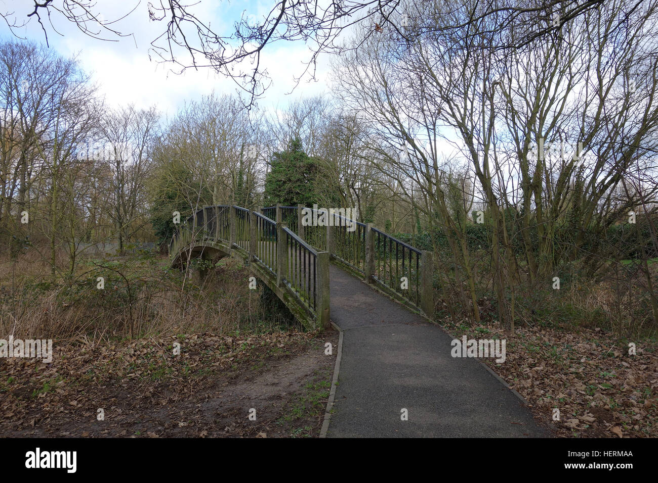 Witham River Walk High Resolution Stock Photography and Images - Alamy