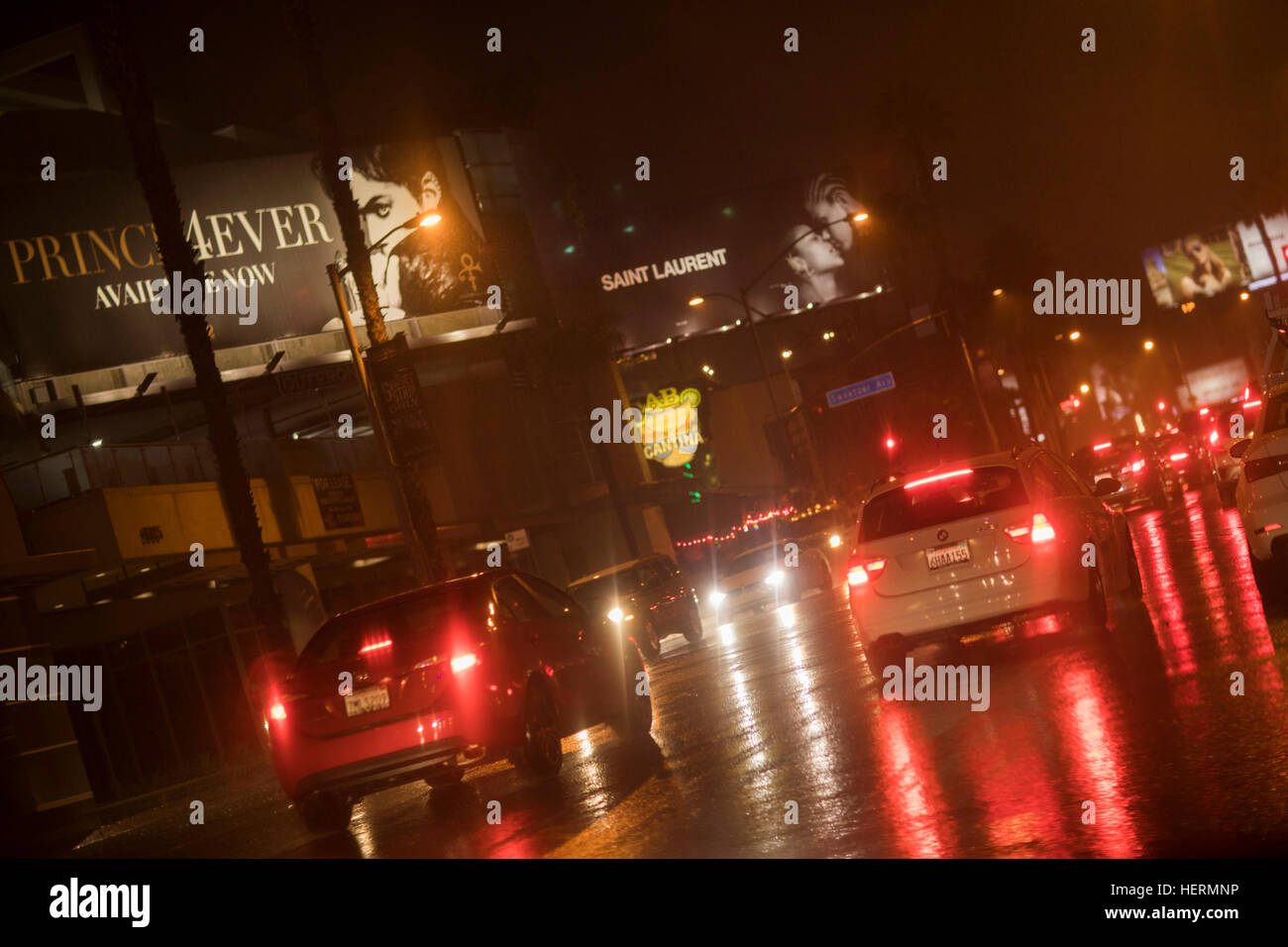 Sunset Strip, Sunset Boulevard, on a rainy night, Los Angeles ...