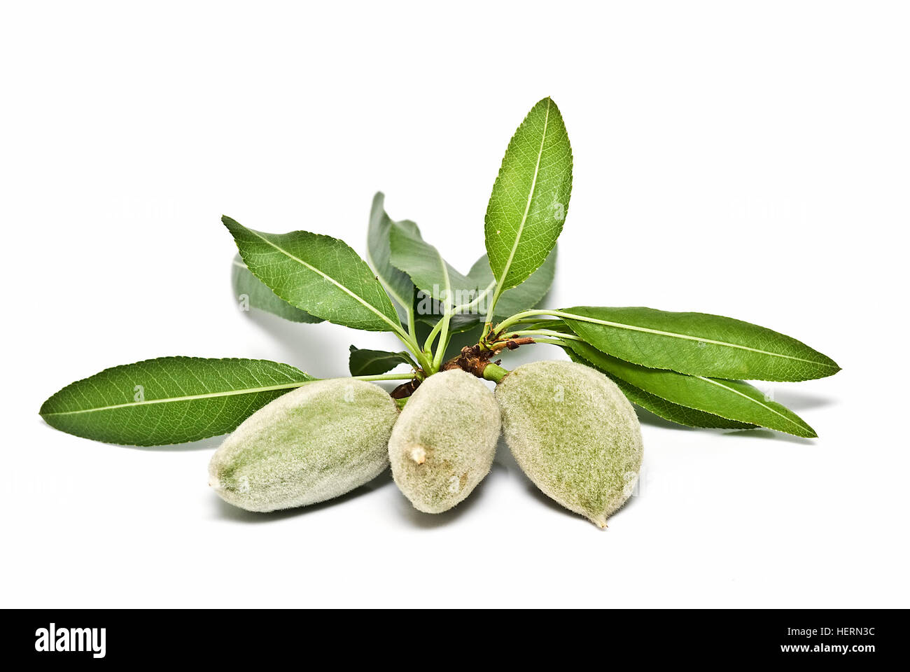 Green raw almonds isolated over a white background Stock Photo - Alamy