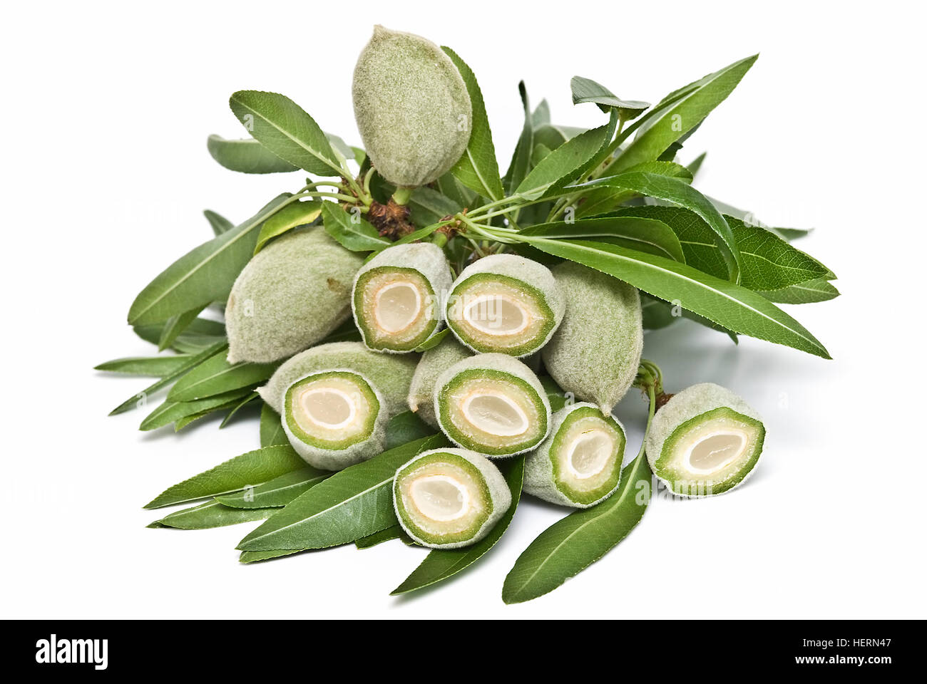 Green raw almonds isolated over a white background Stock Photo - Alamy