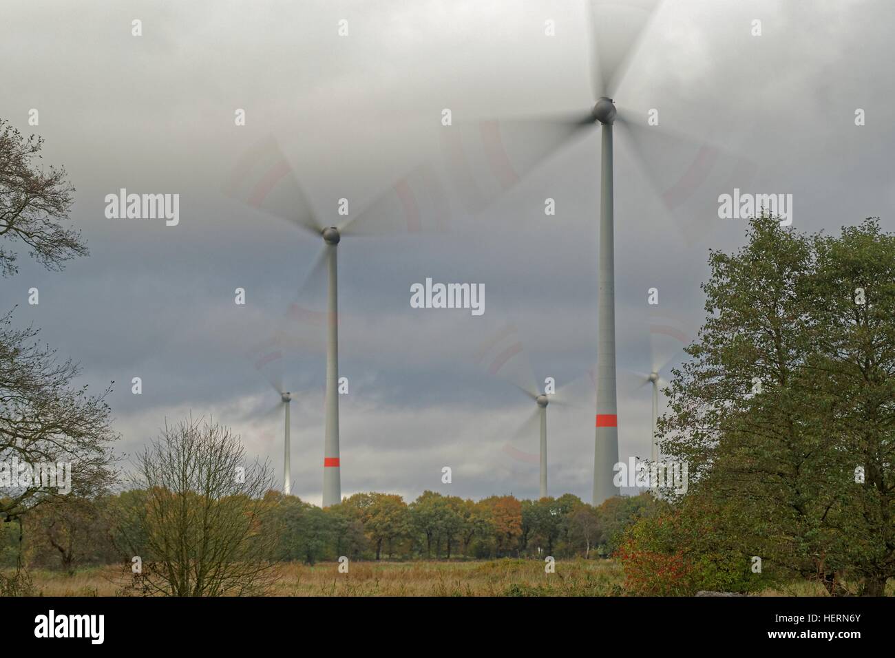 Conservation in motion hi-res stock photography and images - Alamy