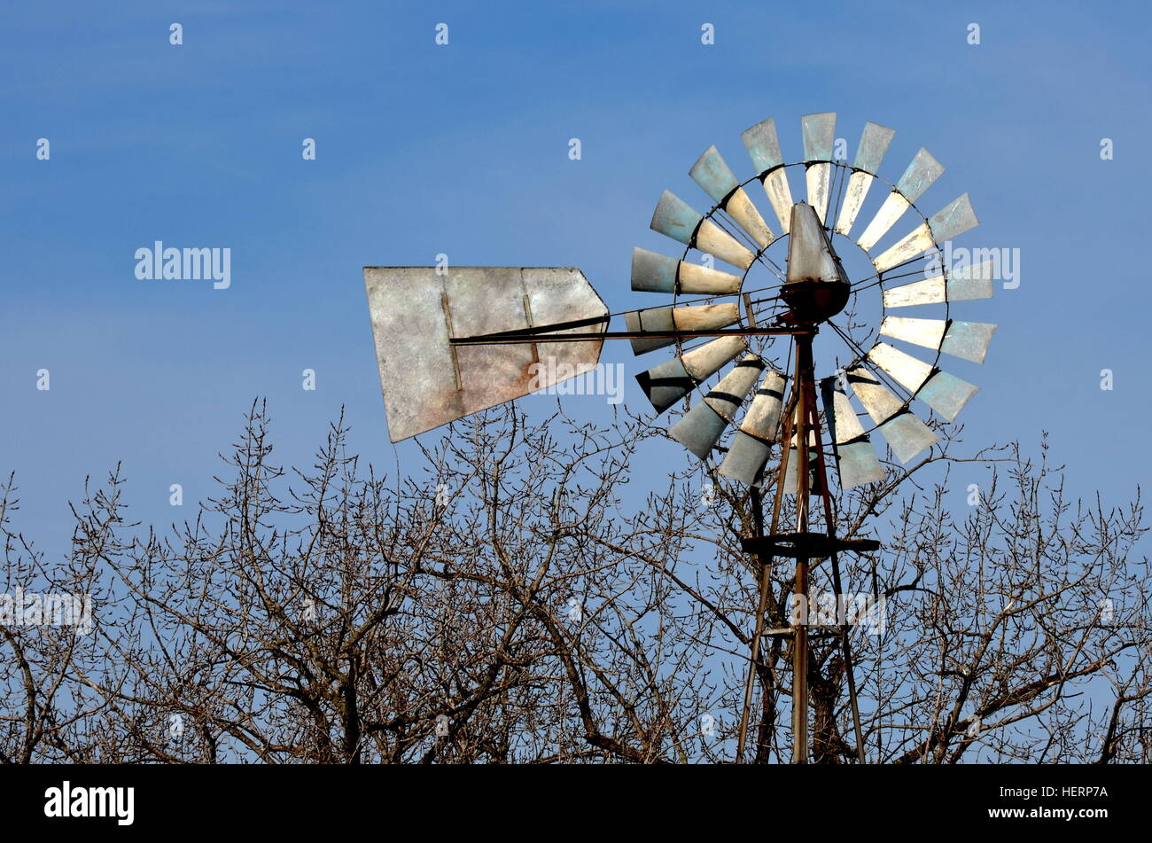 American style windmill above the treetops, Pampa, Argentina Stock ...