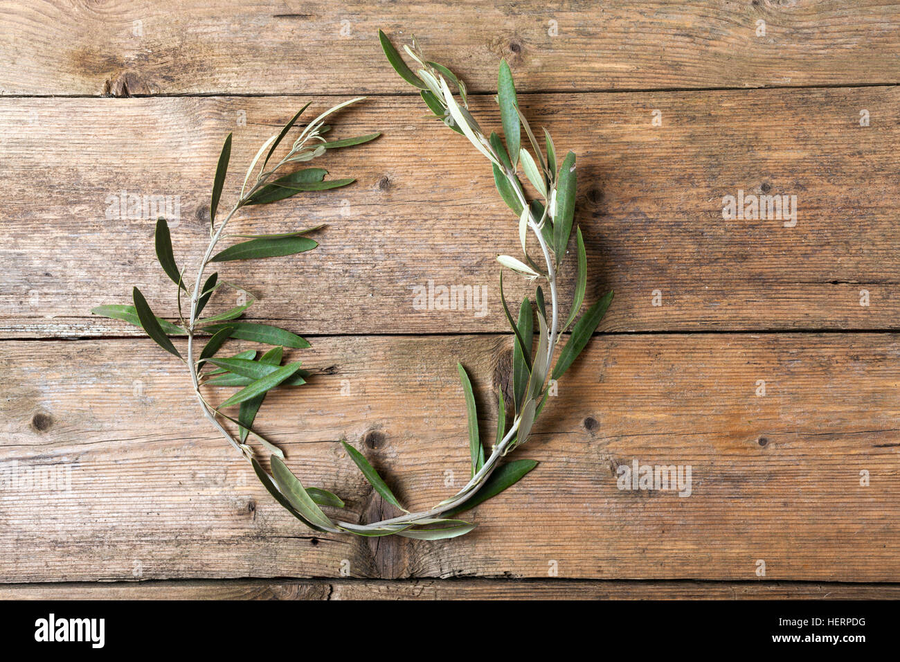The olive wreath also known as kotinos was the prize for the winner at the ancient Olympic Games ...