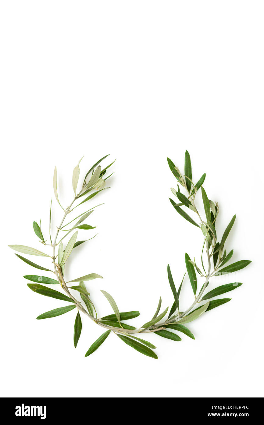 The olive wreath also known as kotinos was the prize for the winner at ...