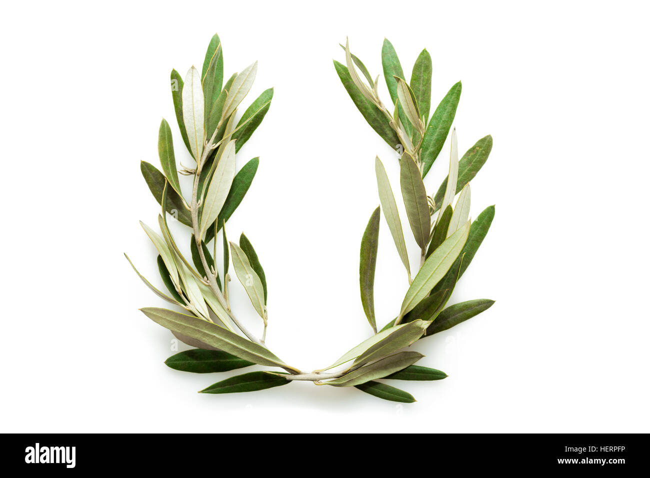 The olive wreath also known as kotinos was the prize for the winner at the ancient Olympic Games ...