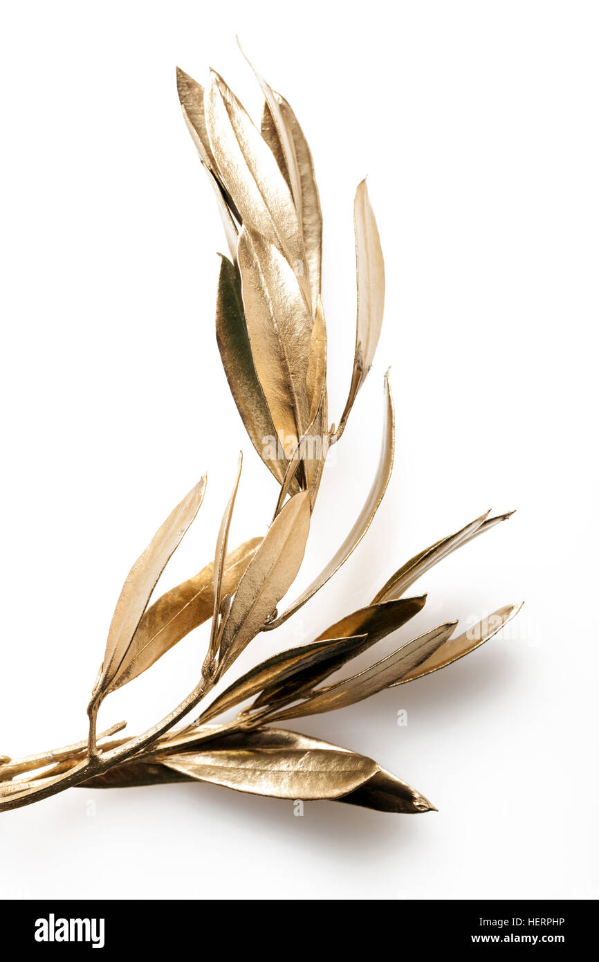 Golden Olive Wreath on white background Stock Photo - Alamy