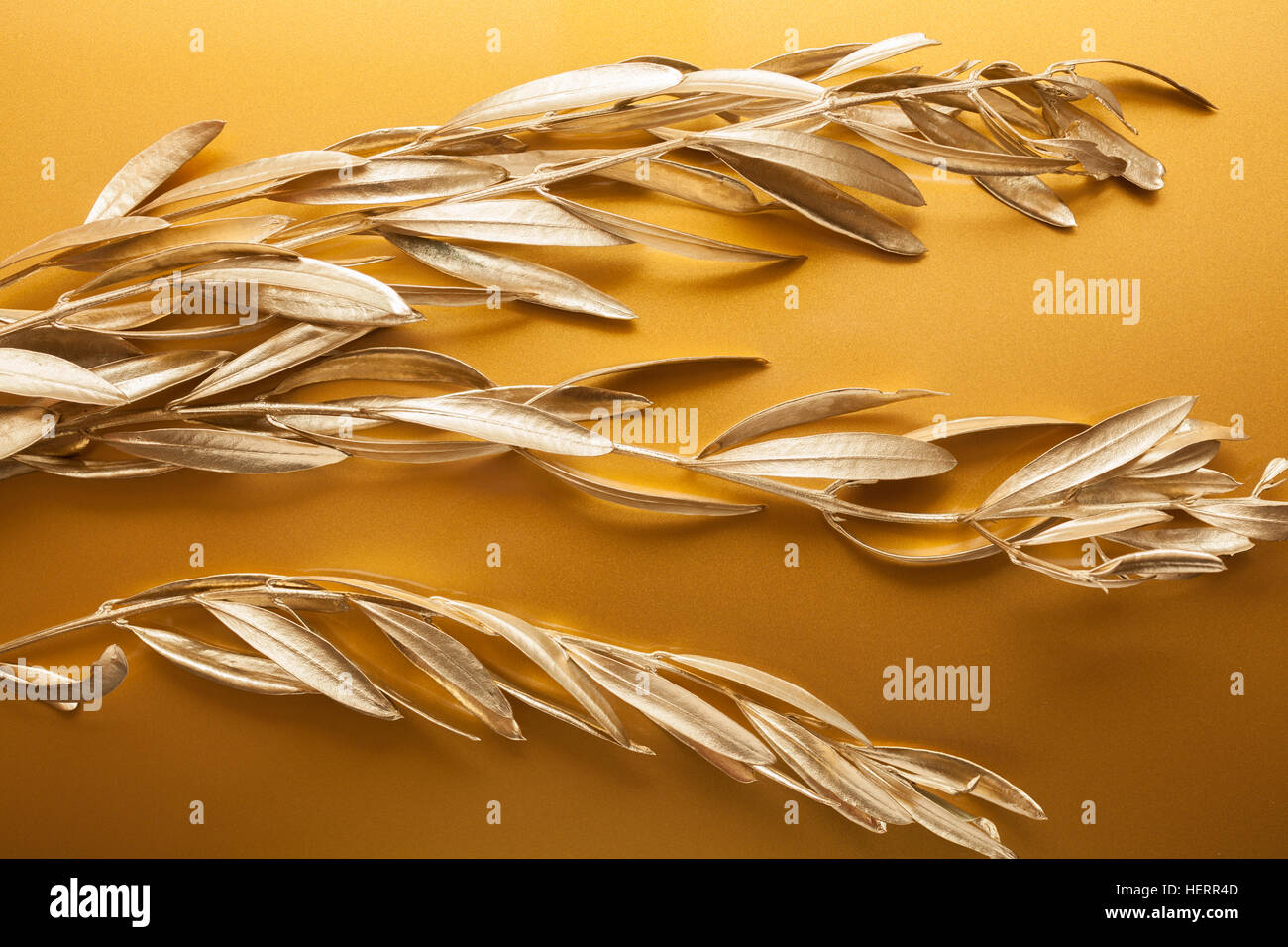 Golden branches of olive tree on golden background Stock Photo - Alamy