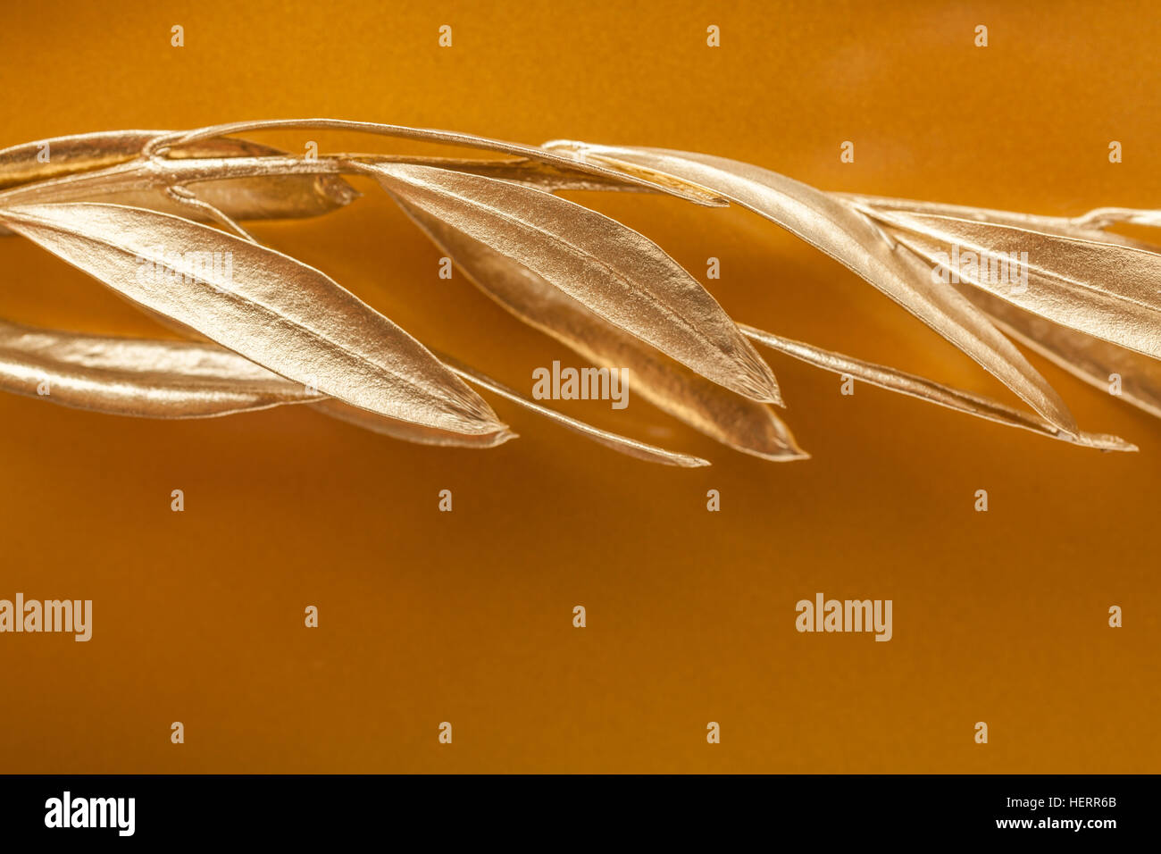 Golden branches of olive tree on golden background Stock Photo - Alamy