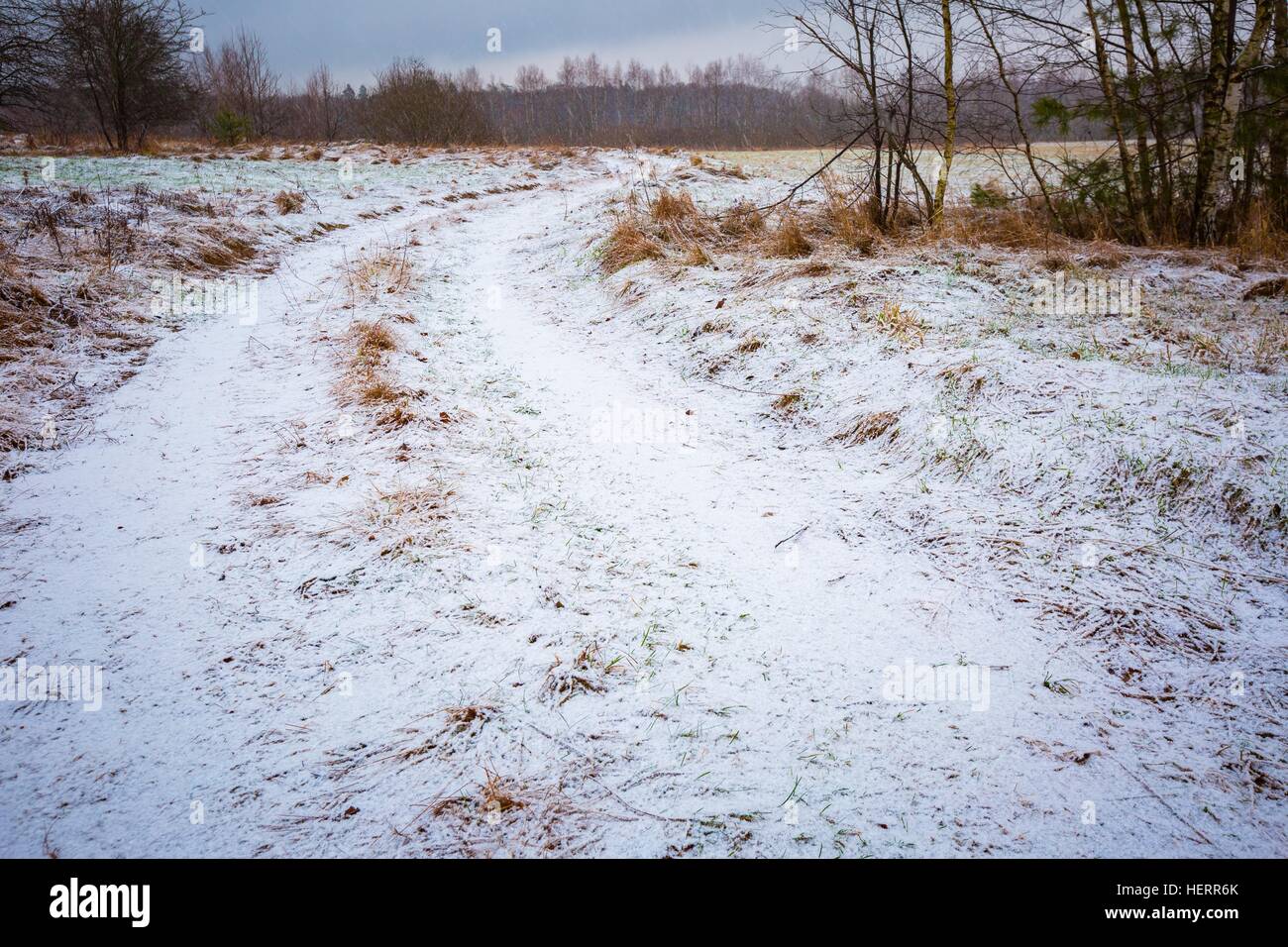 Bad weather winter meadow landscape. Winter meadow with first snow ...