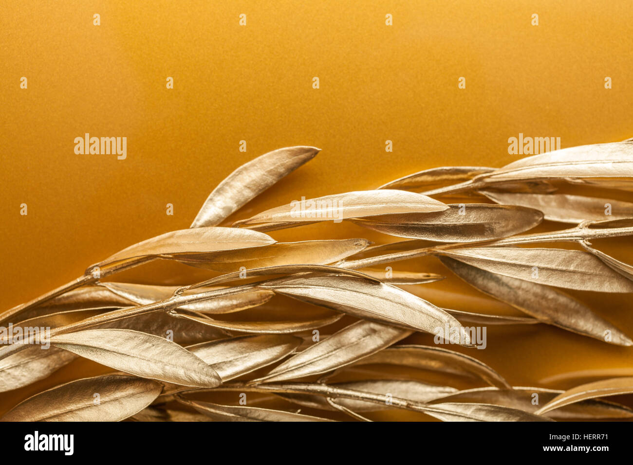 Golden branches of olive tree on golden background Stock Photo - Alamy