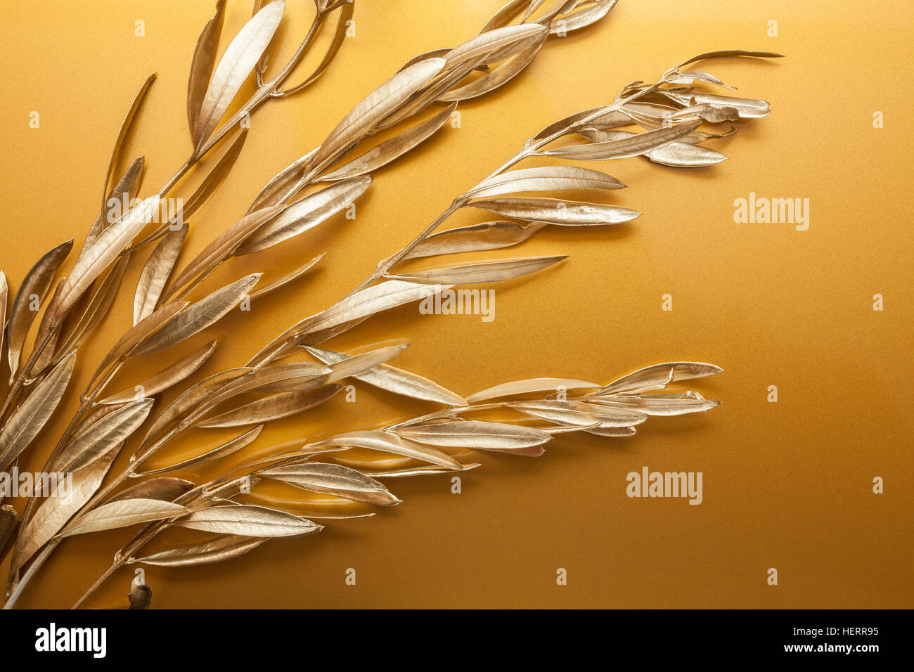 Golden branches of olive tree on golden background Stock Photo - Alamy