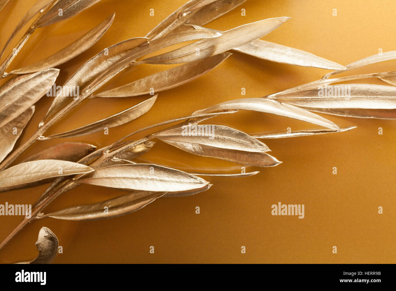 Golden branches of olive tree on golden background Stock Photo - Alamy