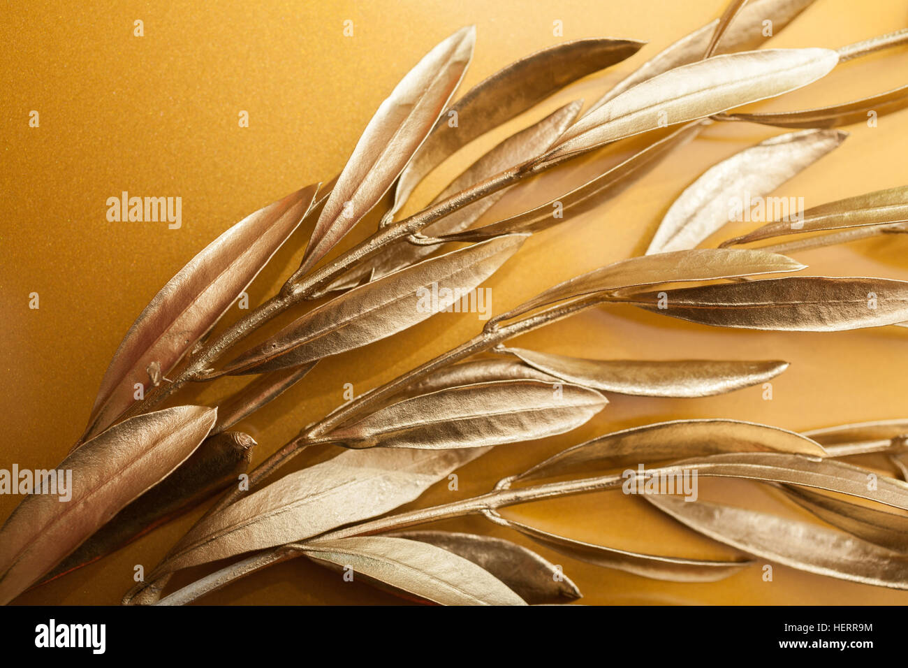 Golden branches of olive tree on golden background Stock Photo - Alamy