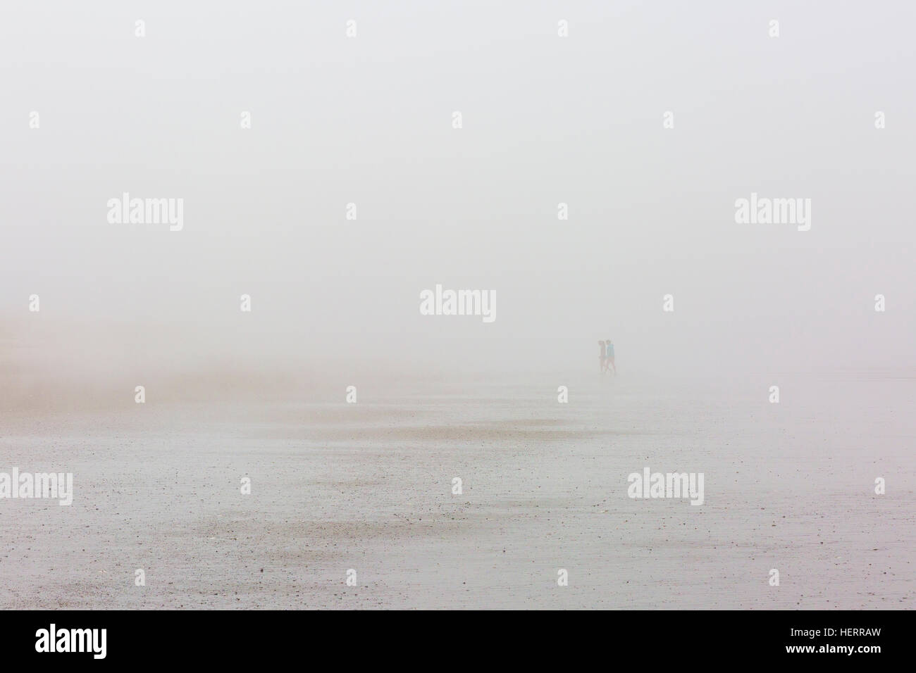 Clam digging washington hi-res stock photography and images - Alamy