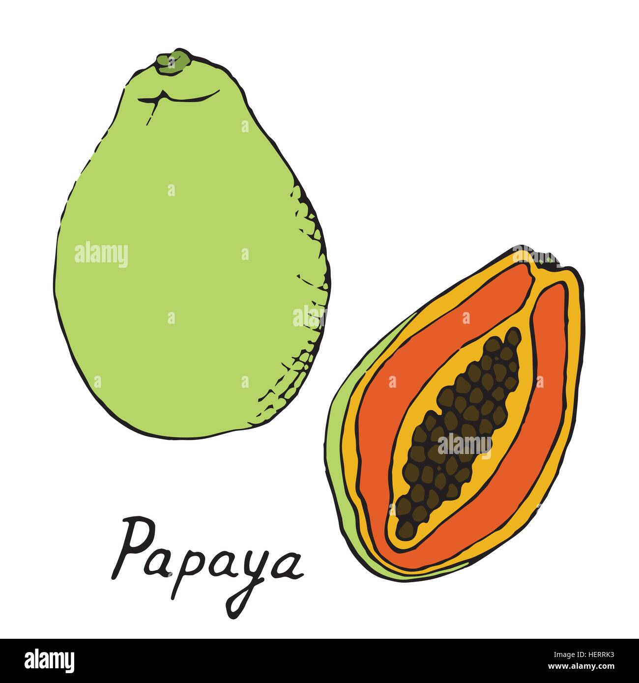Papaya and sliced piece, hand drawn doodle, sketch in pop art style ...