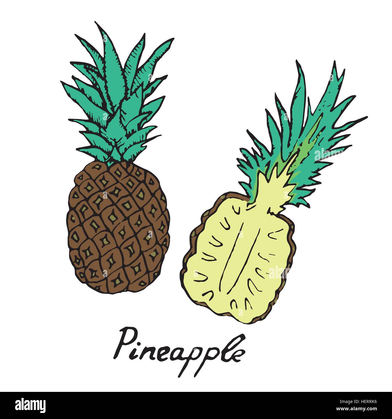 Pineapple and sliced piece, hand drawn doodle, sketch in pop art style ...