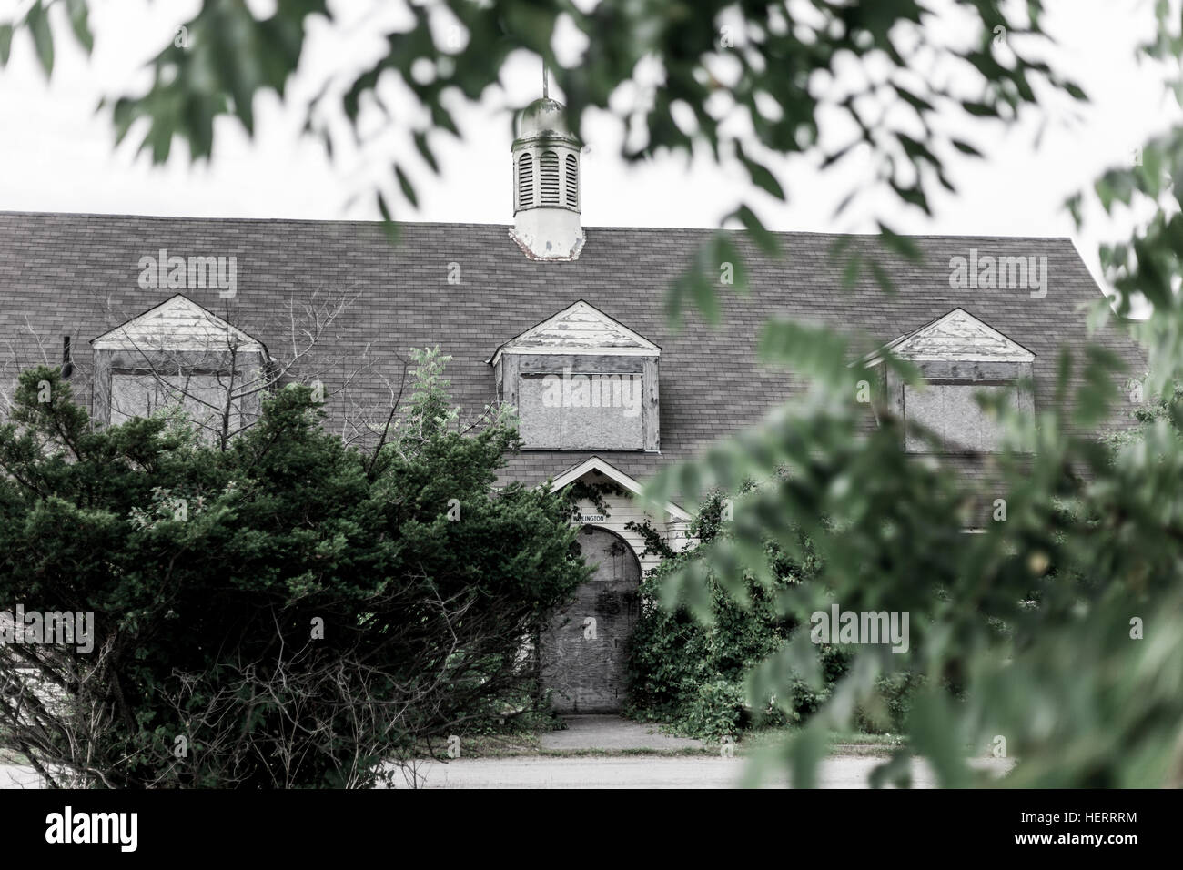 Leaves leaf structure building hi-res stock photography and images - Alamy