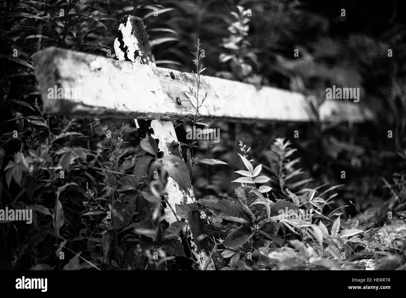 A bench in front of a building once used for radar training for RCAF ...