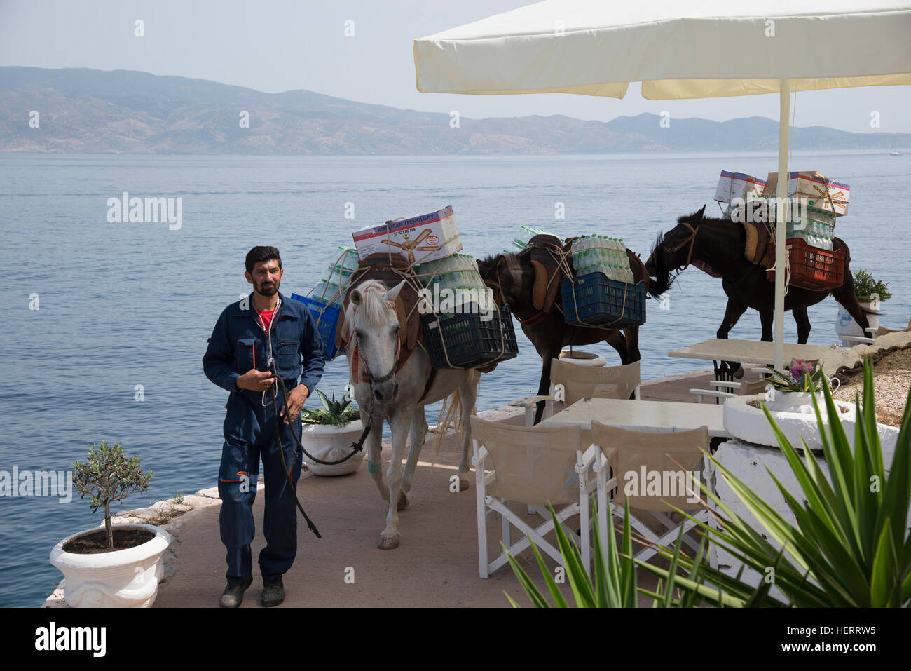 Man leading horses carrying goods on path by the sea Stock Photo - Alamy