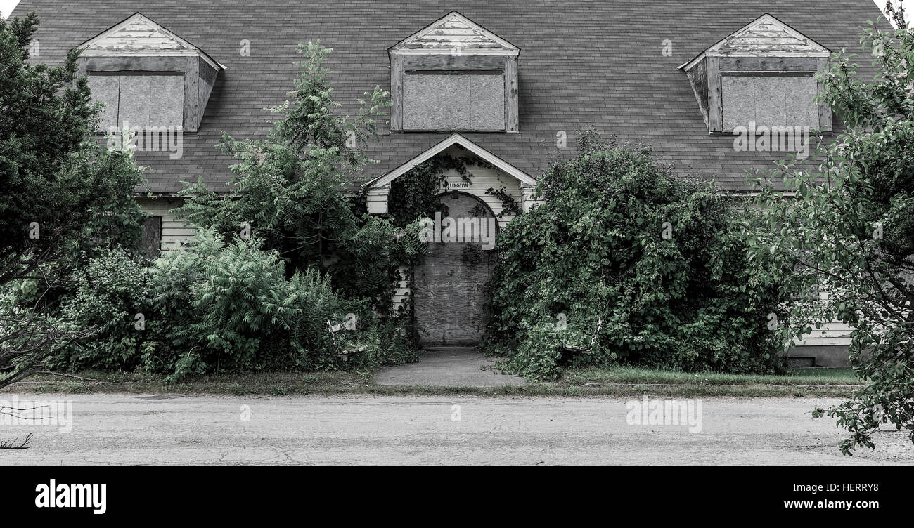Leaves leaf structure building hi-res stock photography and images - Alamy