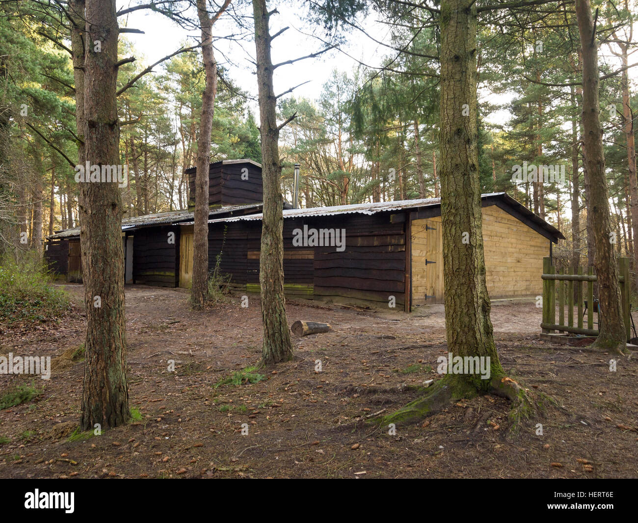 large wooden cabin in woodland Stock Photo - Alamy