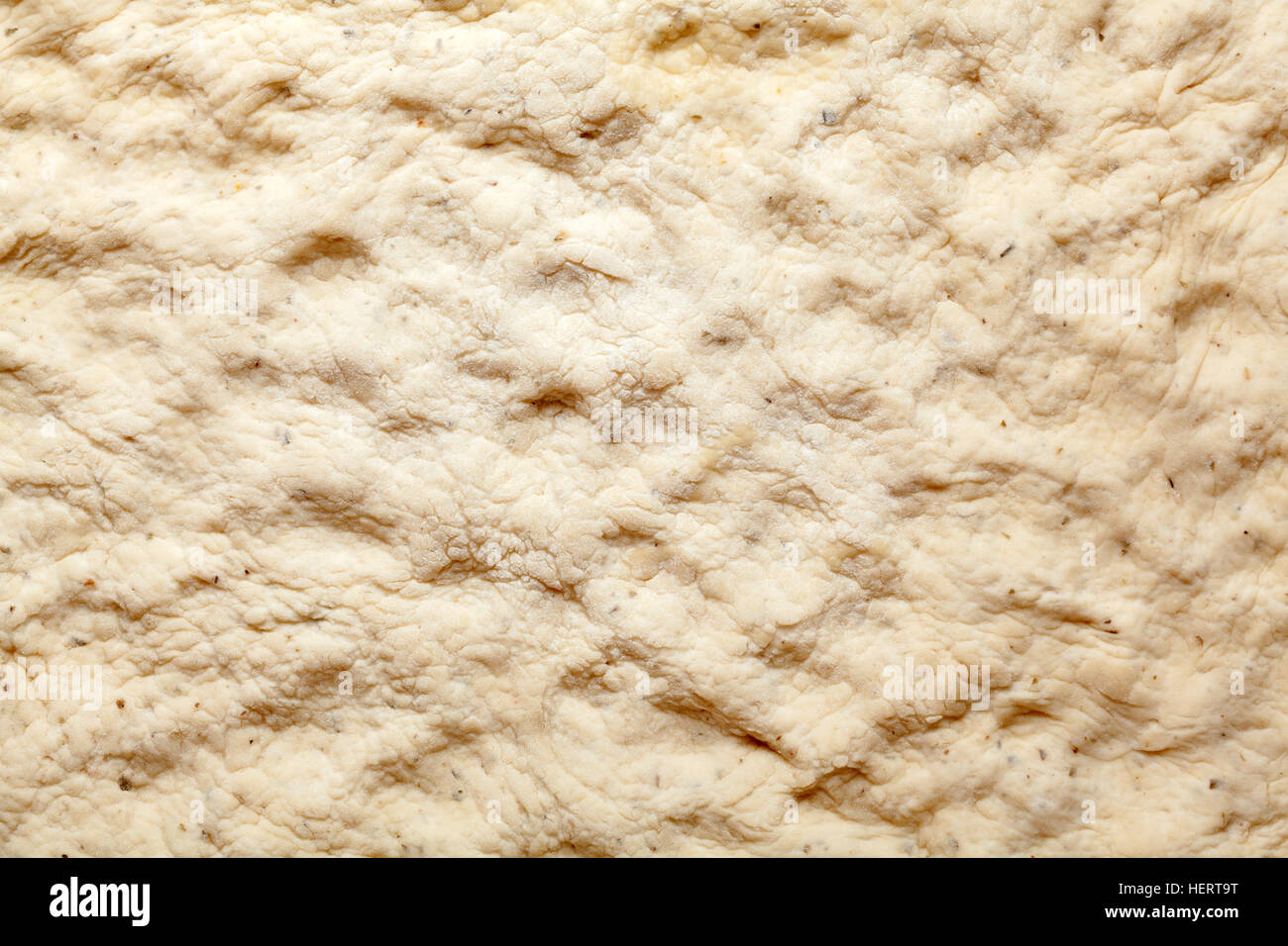 Yeast dough texture. Macro image Stock Photo - Alamy