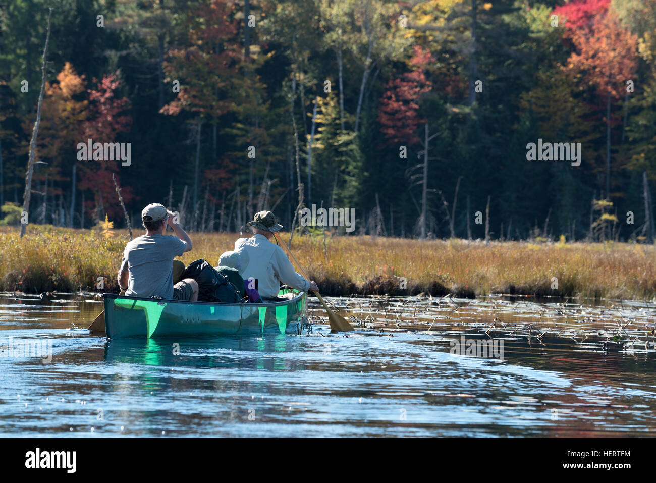 Adirondack park and canoe hi-res stock photography and images - Alamy