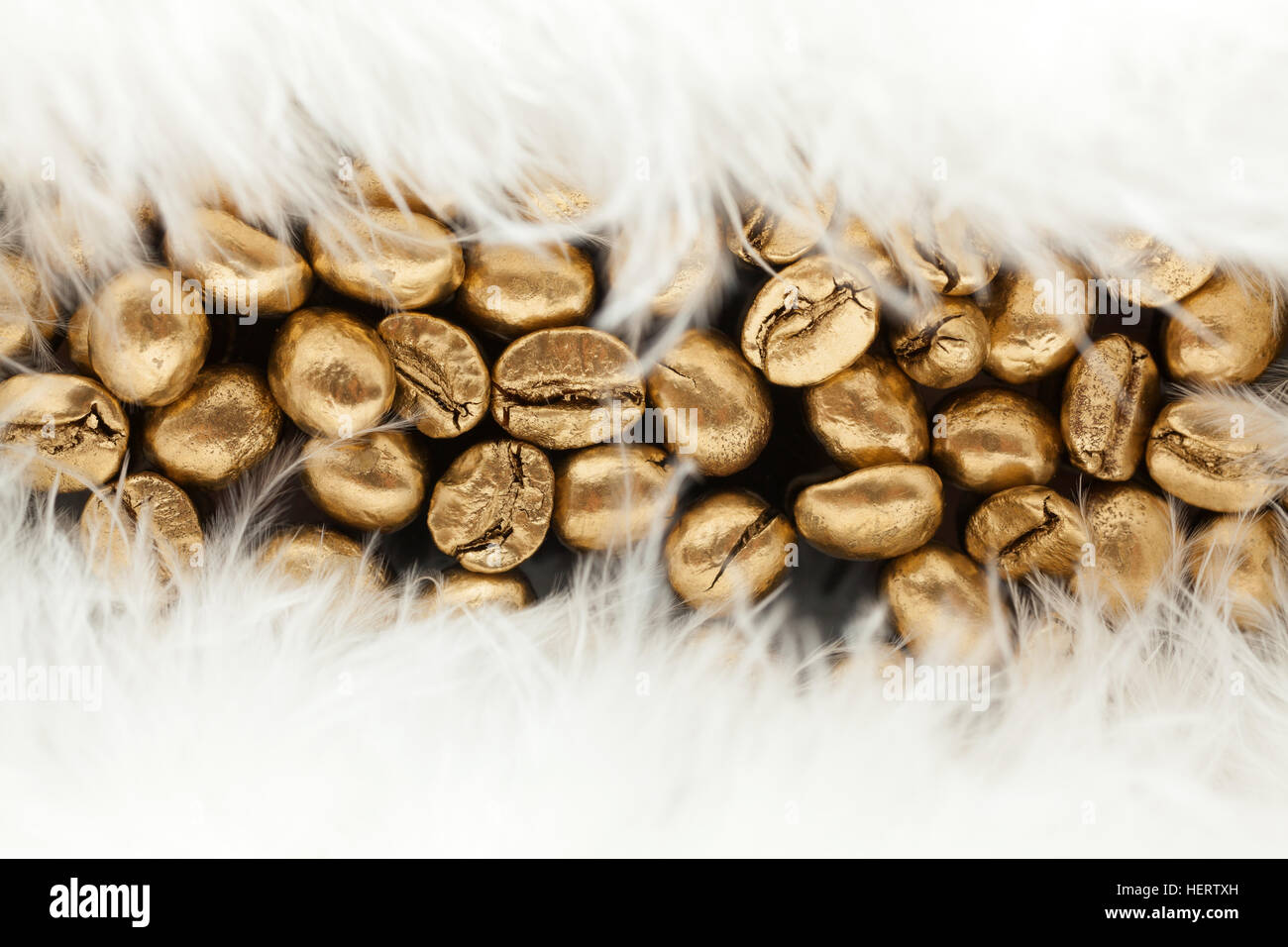Golden coffee beans among white feathers Stock Photo - Alamy