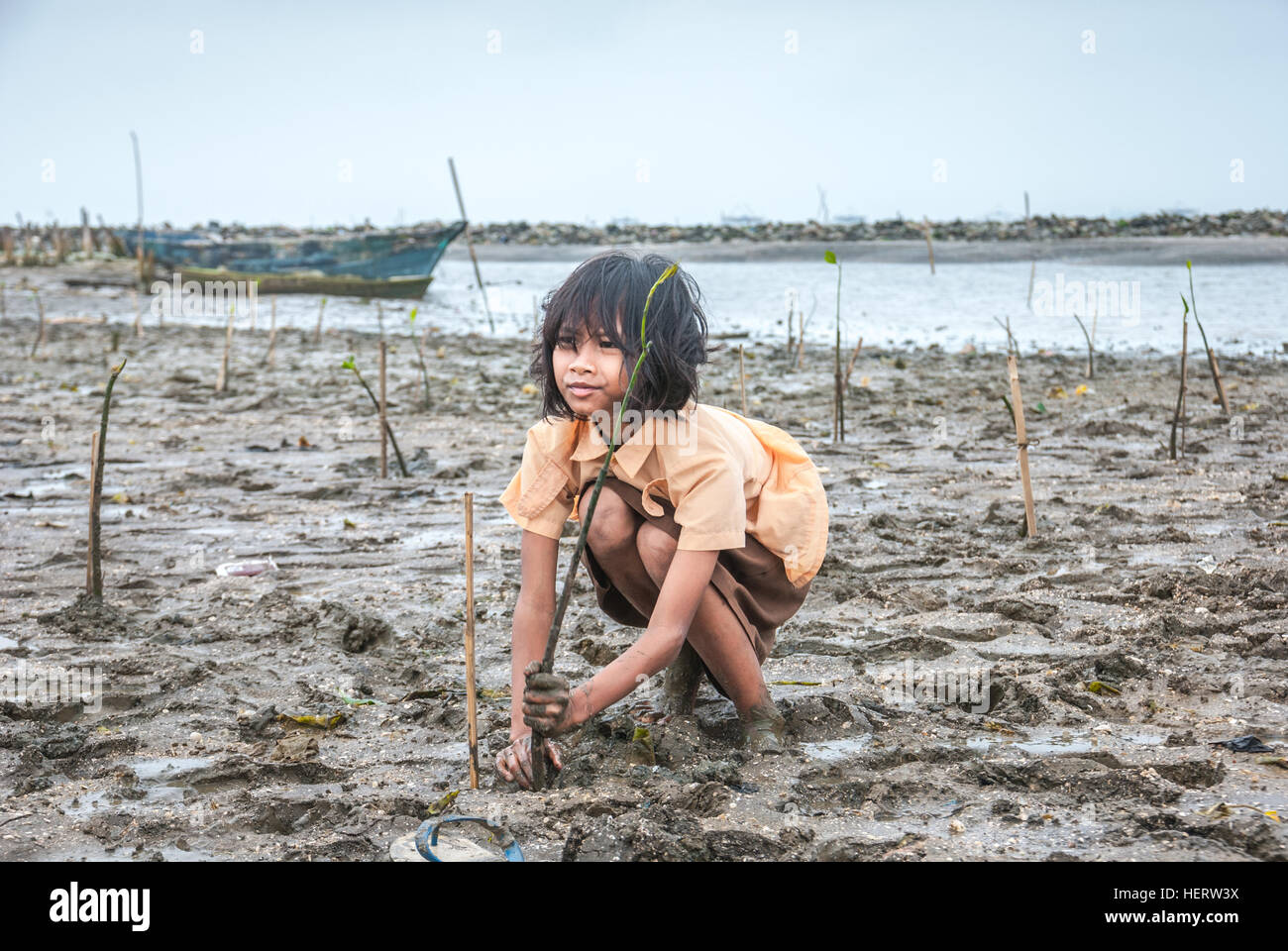 A child is planting a mangrove tree in Jakarta coastal area during a ...