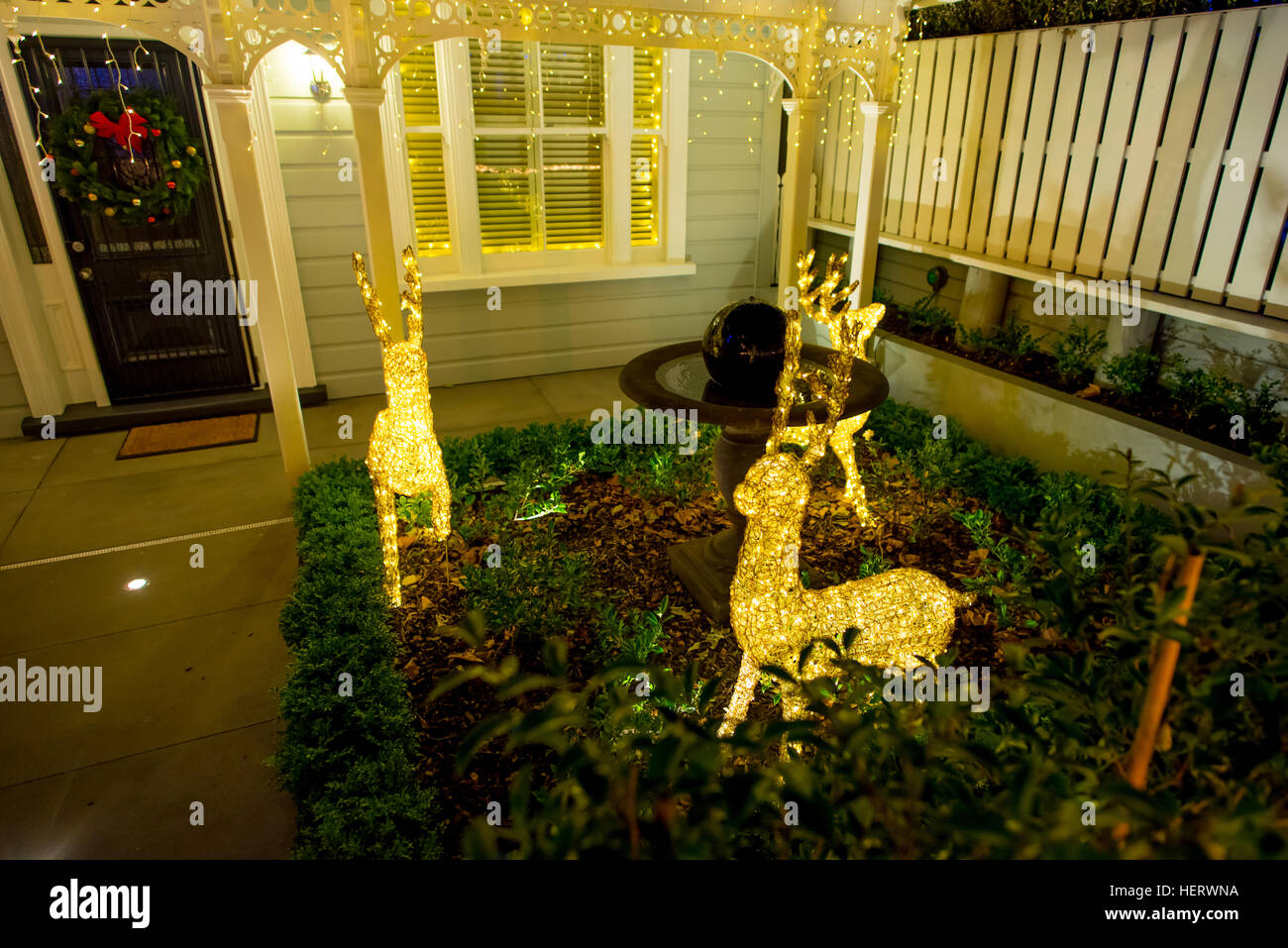 New zealand bulbs hi-res stock photography and images - Alamy