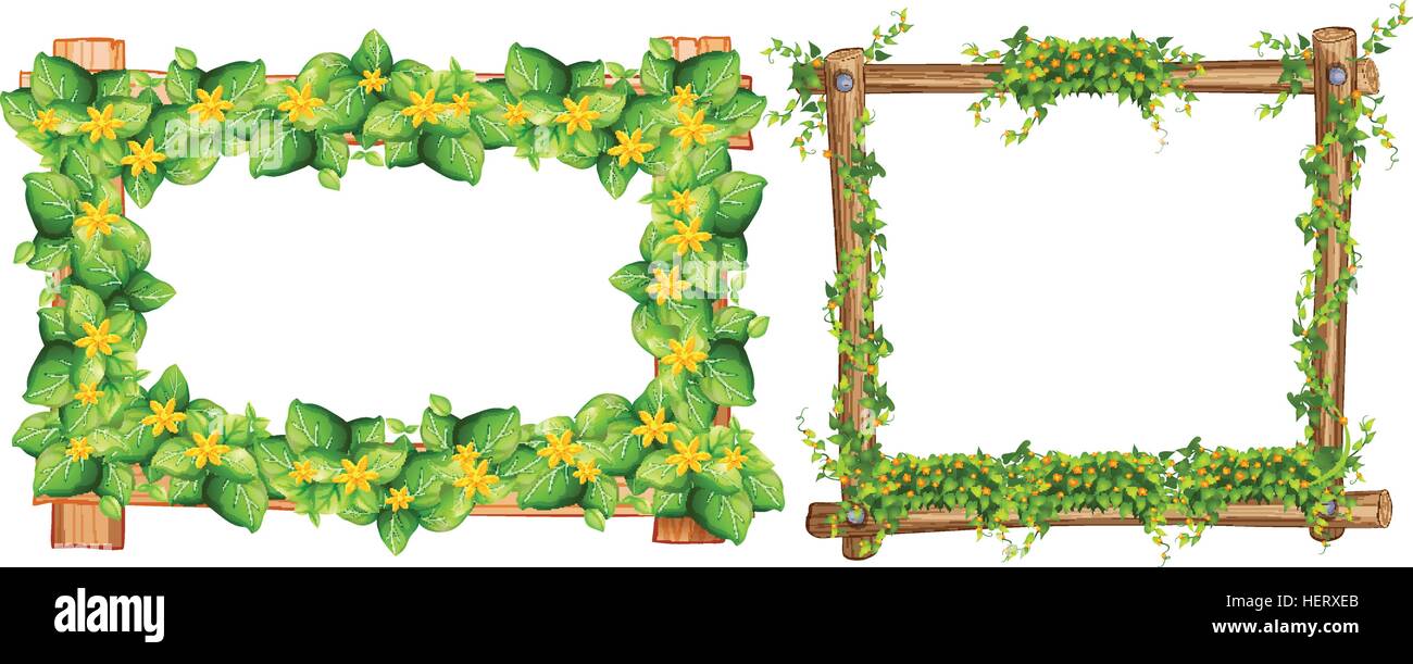 Two frames design with leaves illustration Stock Vector Image & Art - Alamy