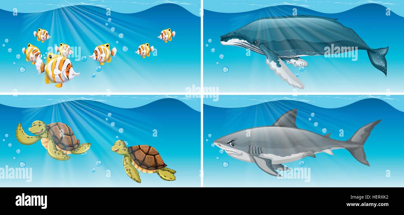 Rays swimming sharks ocean Stock Vector Images - Alamy