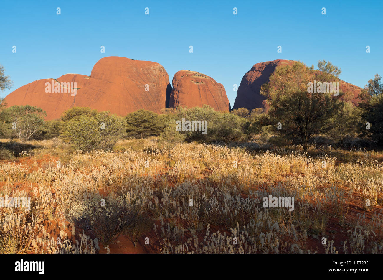 Bornhardt hi-res stock photography and images - Alamy