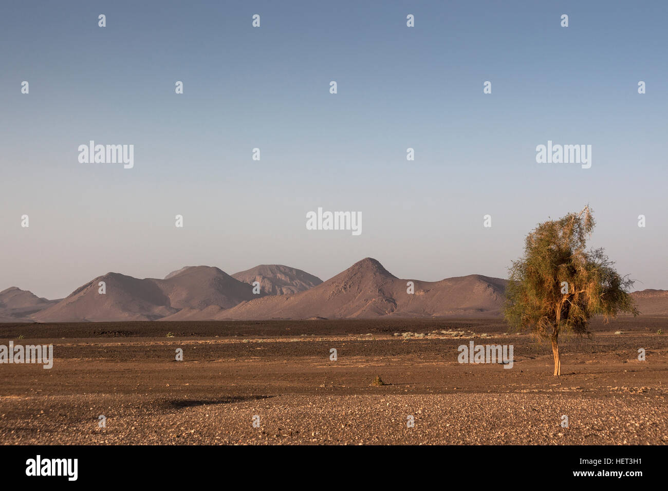 Bayuda Desert, Sudan, Africa Stock Photo - Alamy