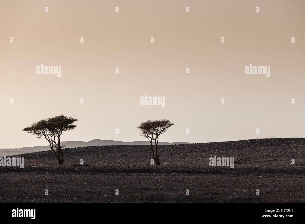 Bayuda Desert, Sudan, Africa Stock Photo - Alamy