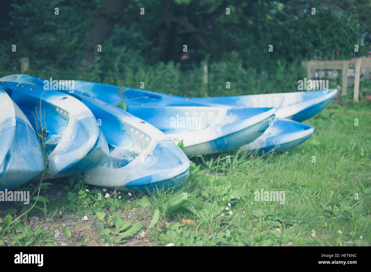 A bunch of blue kayaks on the grass Stock Photo - Alamy