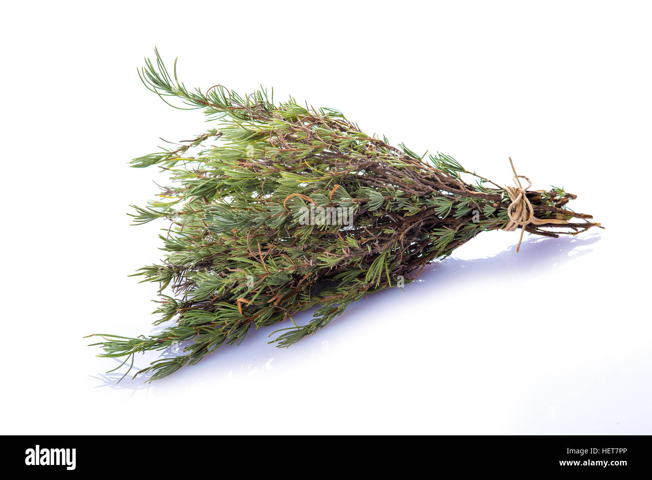 Bunch of fresh thyme to cook isolated on a white background Stock Photo ...