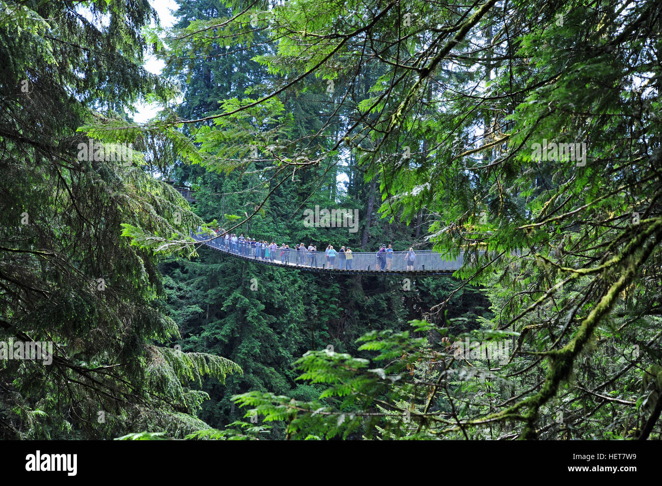 Capilano Suspension Bridge, Vancouver, British Columbia, Canada Stock ...