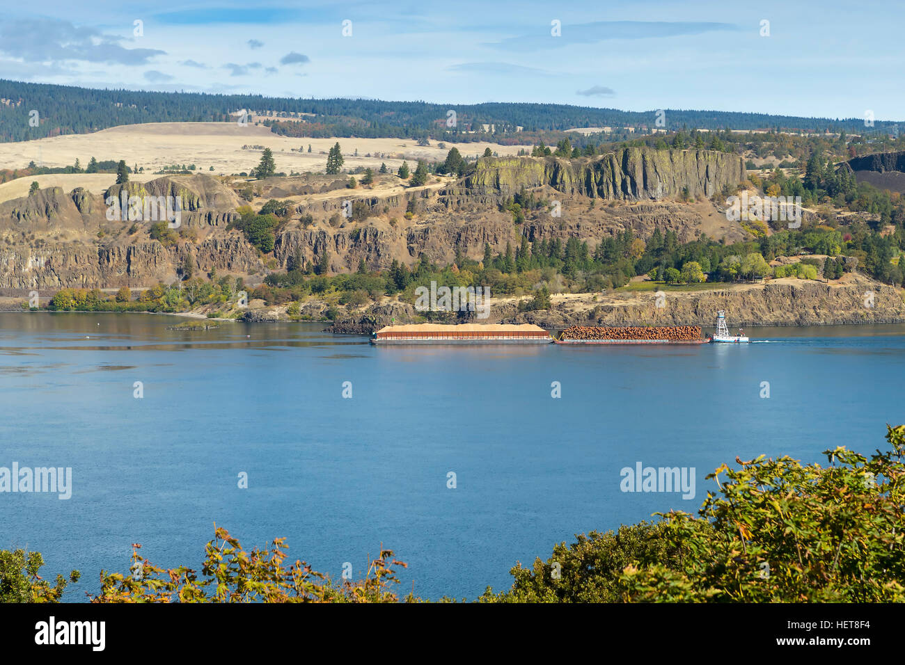 Logging barge on the Columbia River Gorge carrying logs and sawdust ...