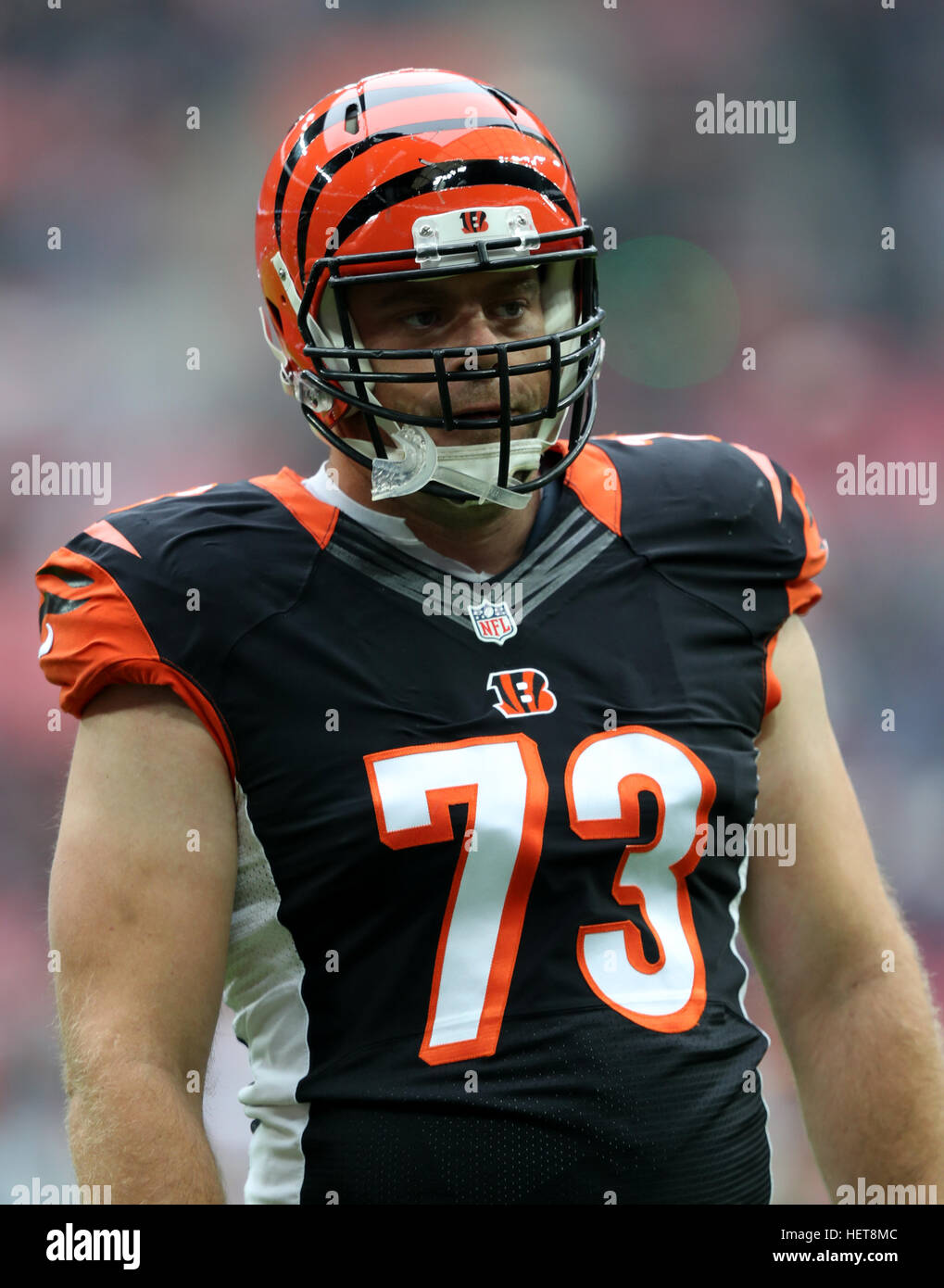 Cin Bengals