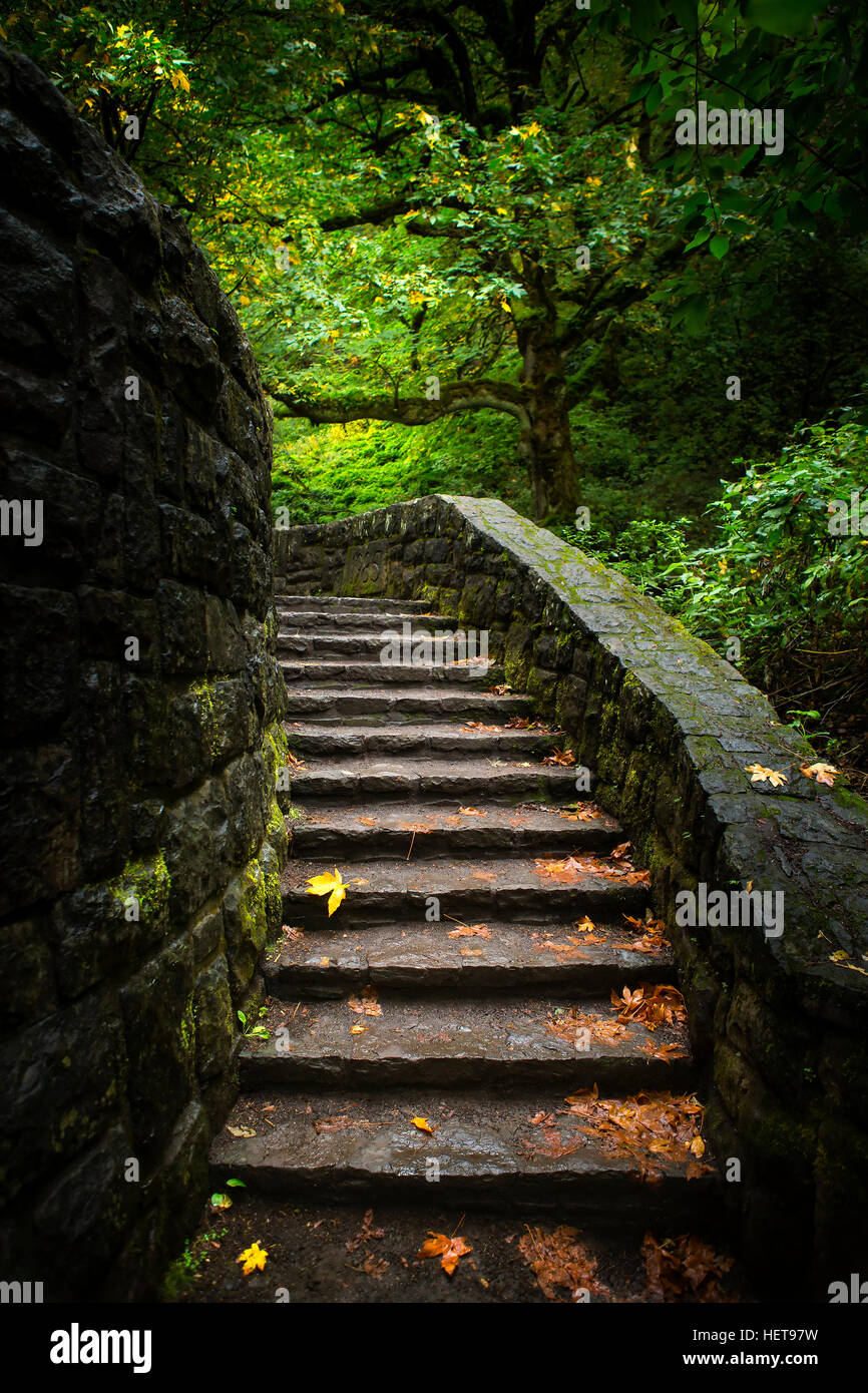 Lit up pathway hi-res stock photography and images - Alamy