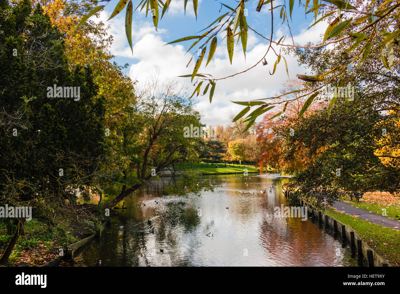 Beautiful color and an amazing river side Stock Photo - Alamy