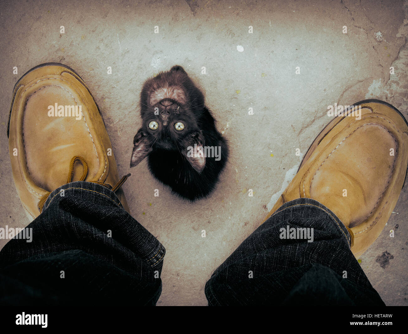 Black kitten sitting between two legs of standing man, beige shoes and ...
