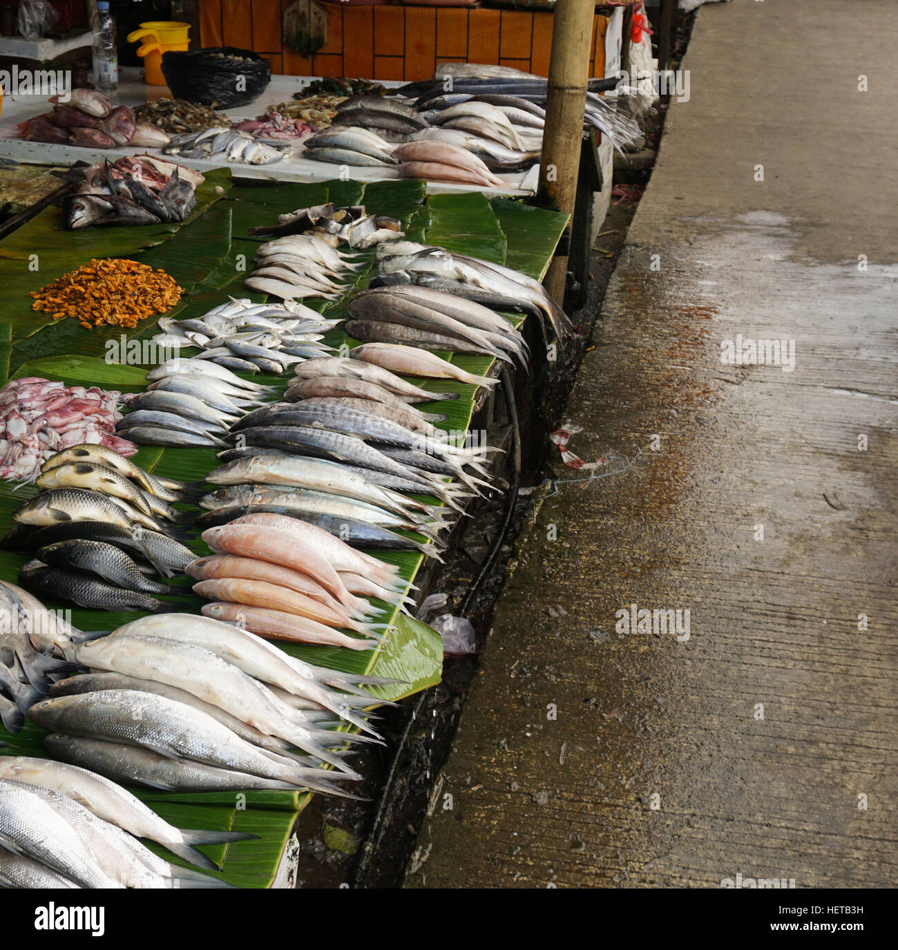 Freshwater fish sells in traditional market photo taken in Bogor ...